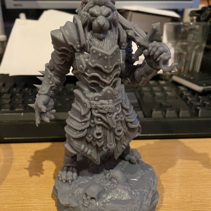 3D Print of Eomar, Leonin Knight by DeverX
