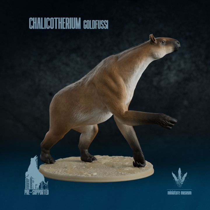 3D Printable Chalicotherium goldfussia : The Knuckle-walking Horse by ...