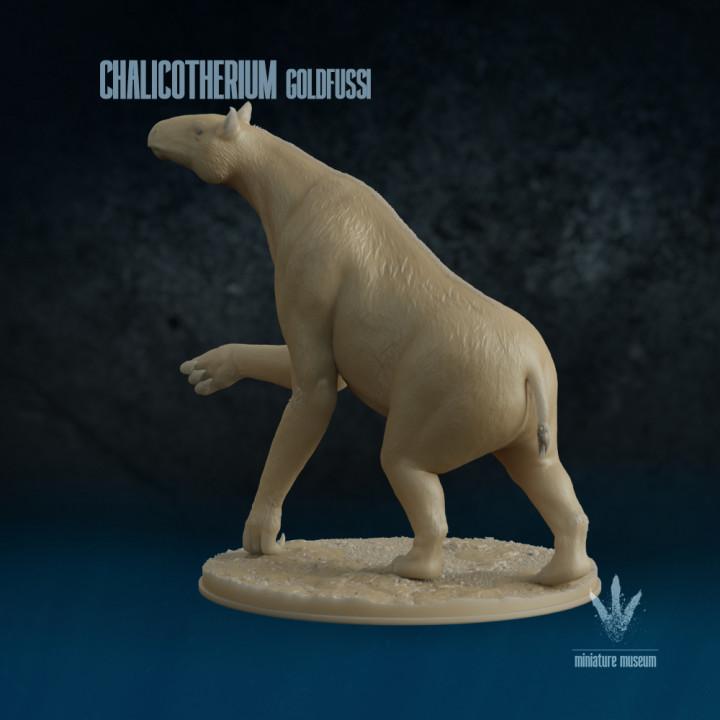 3D Printable Chalicotherium goldfussia : The Knuckle-walking Horse by ...