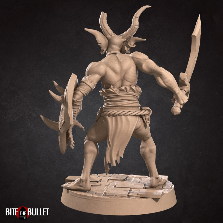 3D Printable Fallen Imps (2 Models) by Bite the Bullet