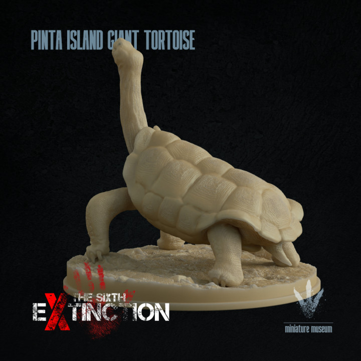 3D Printable Pinta Island tortoise - Lonesome George by Miniature Museum