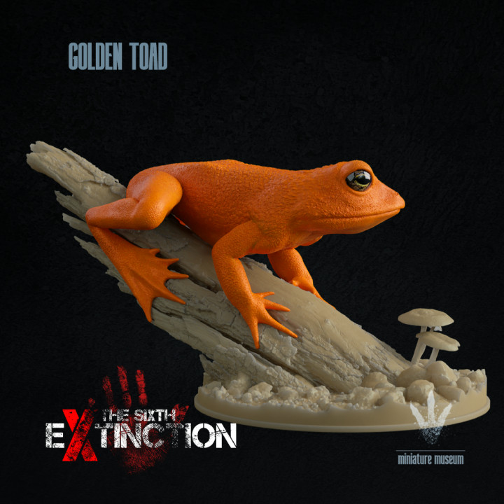 3D Printable Golden Toad : On a Log by Miniature Museum
