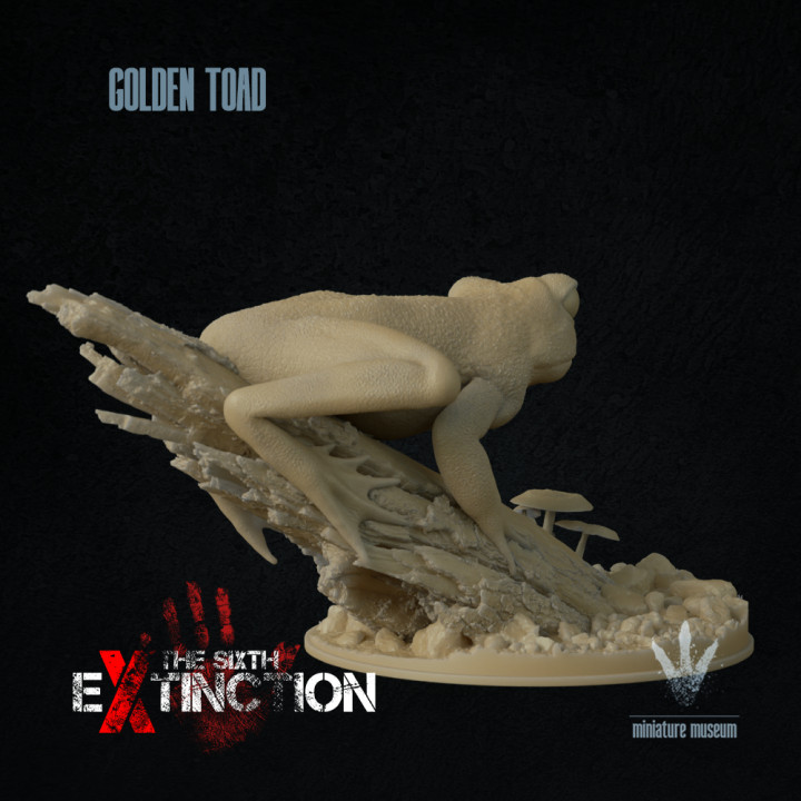 3D Printable Golden Toad : On a Log by Miniature Museum