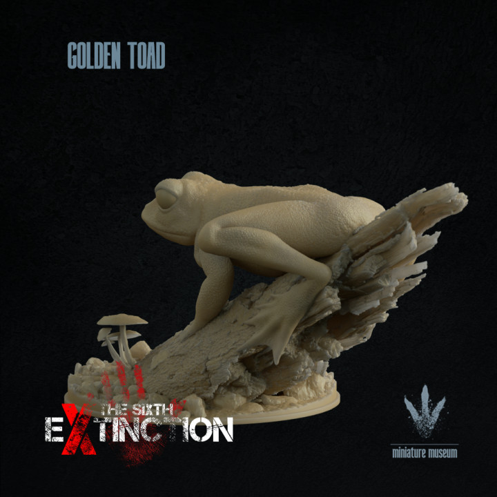 3D Printable Golden Toad : On a Log by Miniature Museum