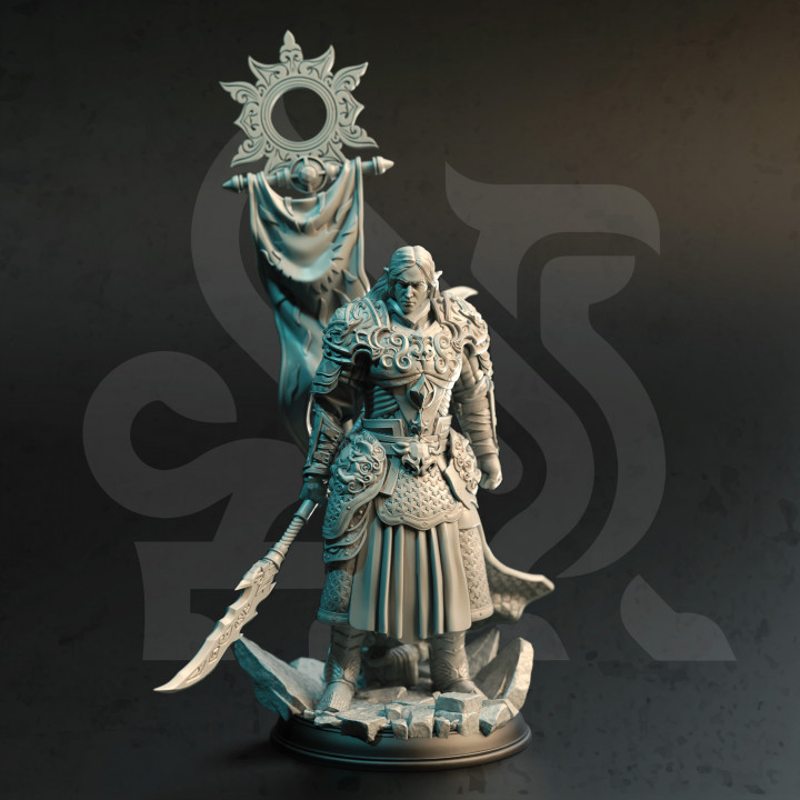 3D Printable Elven Eldritch Knight - Rolen by DM Stash