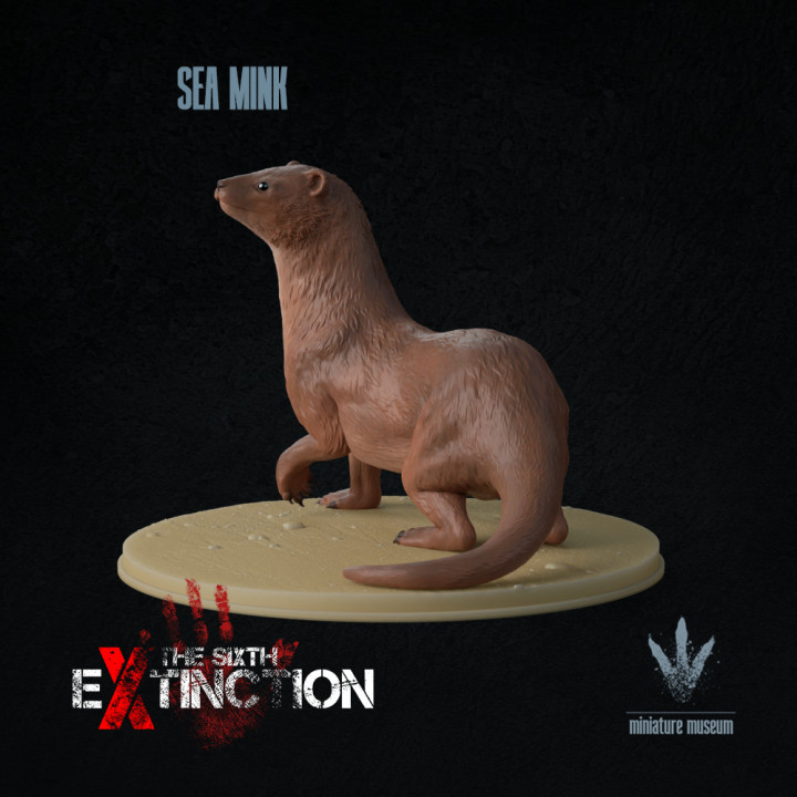 3D Printable Sea mink : Neogale macrodon by Miniature Museum