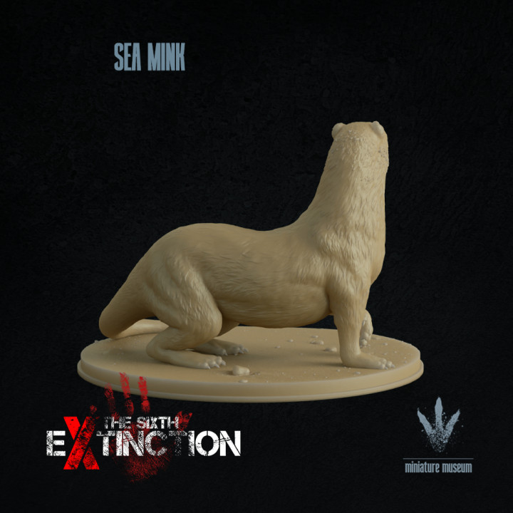 3D Printable Sea mink : Neogale macrodon by Miniature Museum