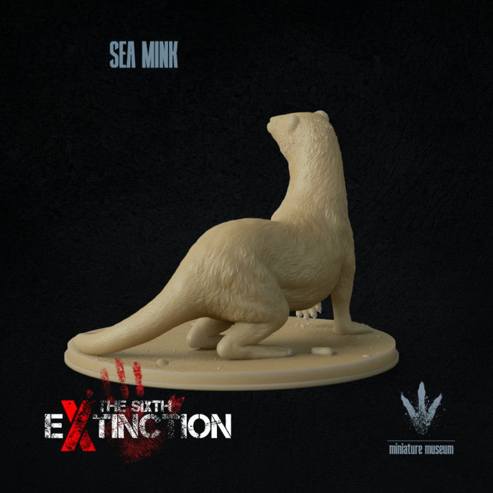 3D Printable Sea mink : Neogale macrodon by Miniature Museum
