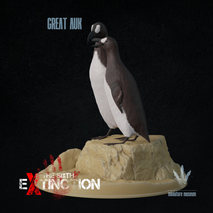 3D Printable Great auk : Pinguinus impennis by Miniature Museum