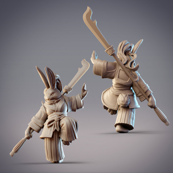 3D Printable Rabbitfolk Warrior - Sunset Jade, Guanghan Swordswoman ...