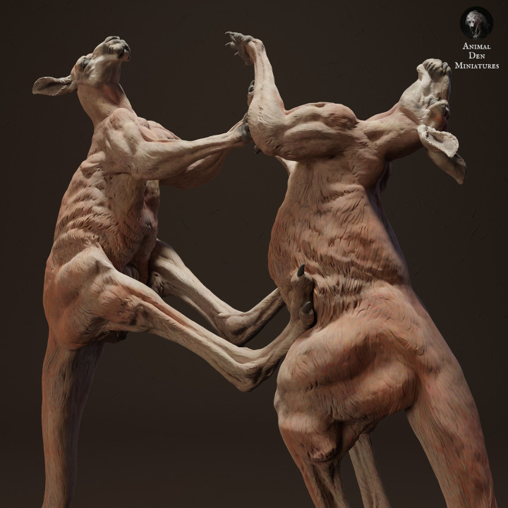 3D Printable Red Kangaroo Jacks Fight by Animal Den Miniatures