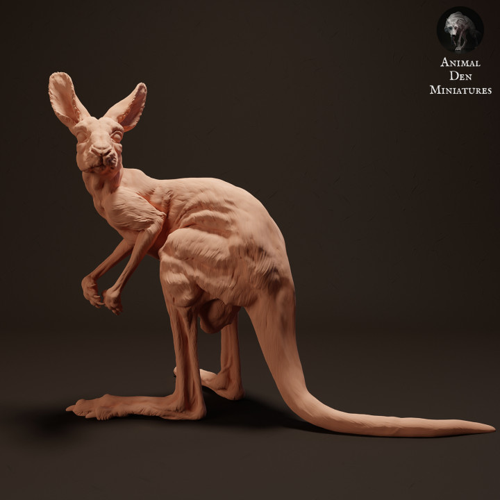 3D Printable Red Kangaroo Joey by Animal Den Miniatures