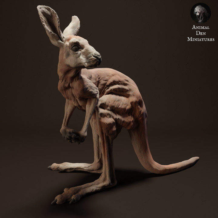 3D Printable Red Kangaroo Joey by Animal Den Miniatures