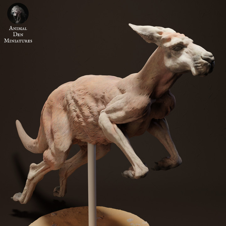 3D Printable Red Kangaroo Jack Jumping by Animal Den Miniatures