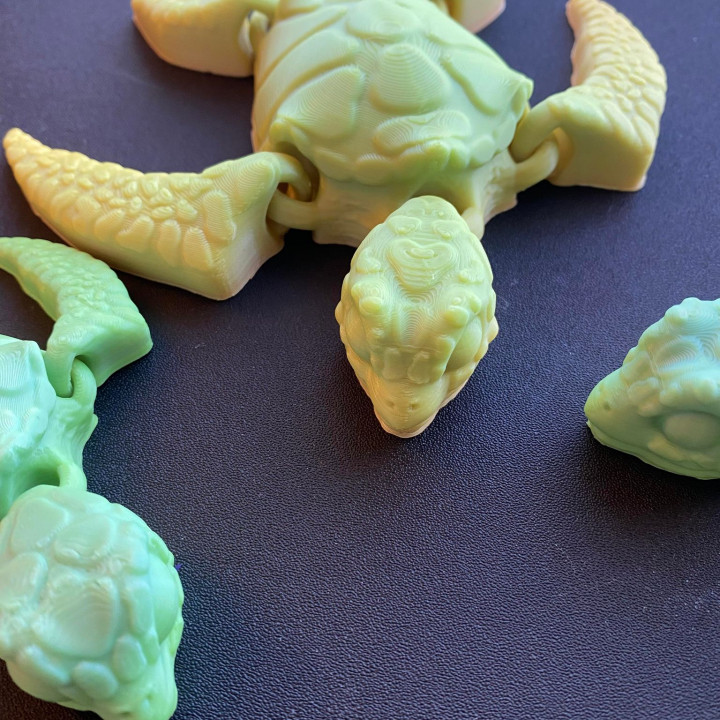 3D Printable Sea Turtle and Hatchling by The Dragon's Den