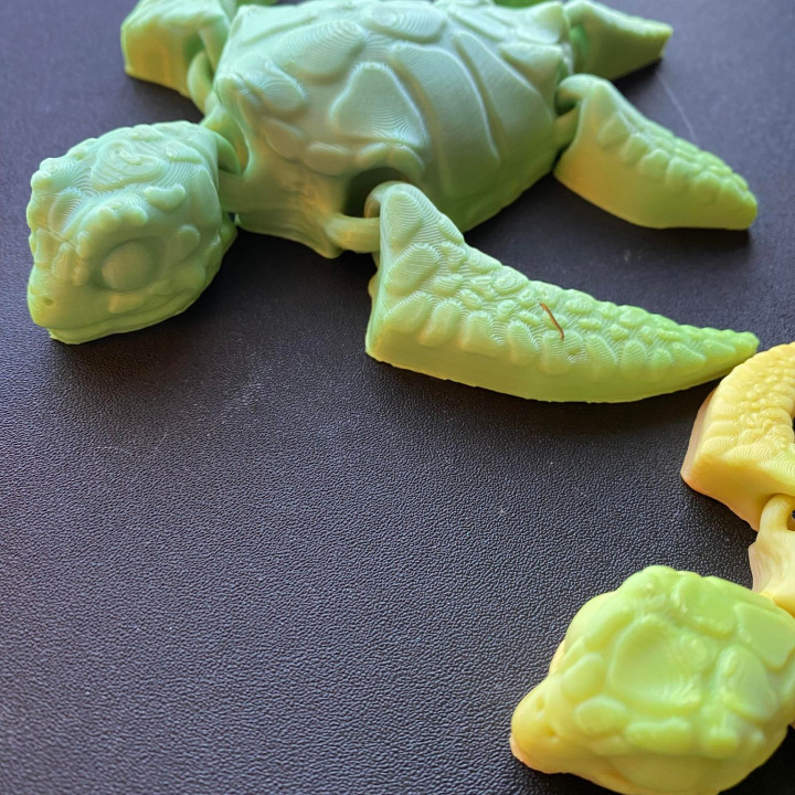 3D Printable Sea Turtle and Hatchling by The Dragon's Den