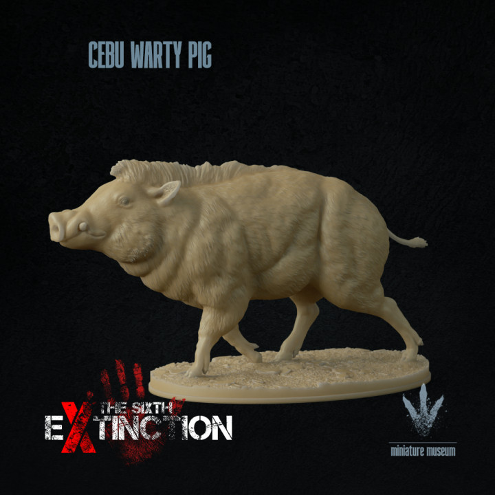 3D Printable Cebu warty pig : Sus cebifrons cebifrons by Miniature Museum