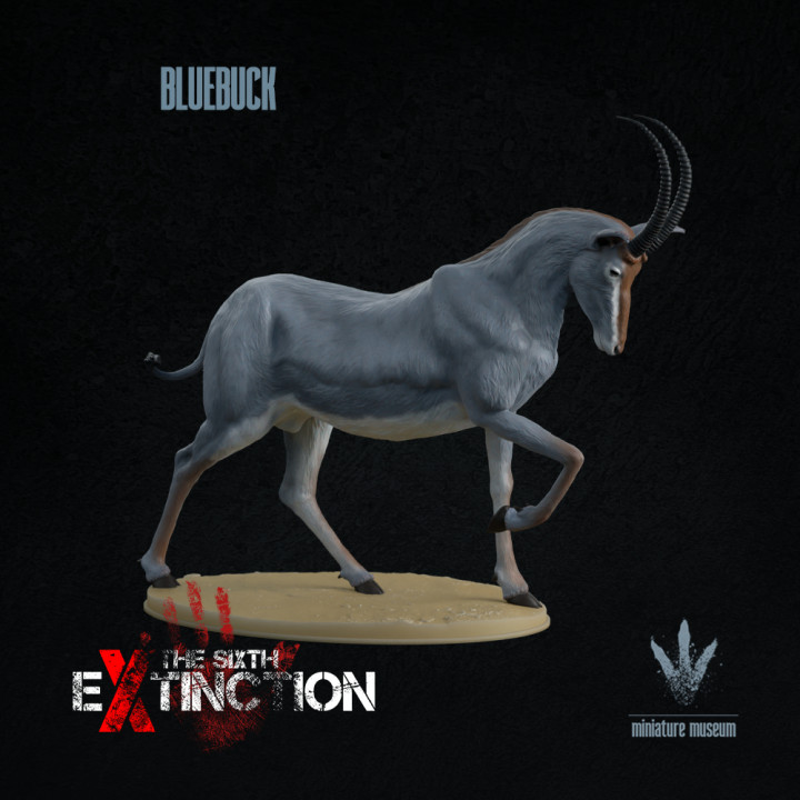 3D Printable Bluebuck : Hippotragus leucophaeus by Miniature Museum