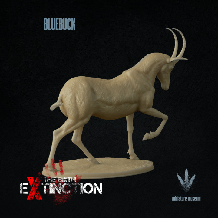 3D Printable Bluebuck : Hippotragus leucophaeus by Miniature Museum