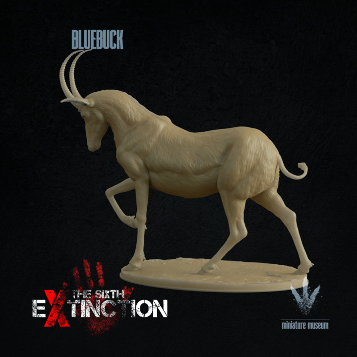 3D Printable Bluebuck : Hippotragus leucophaeus by Miniature Museum