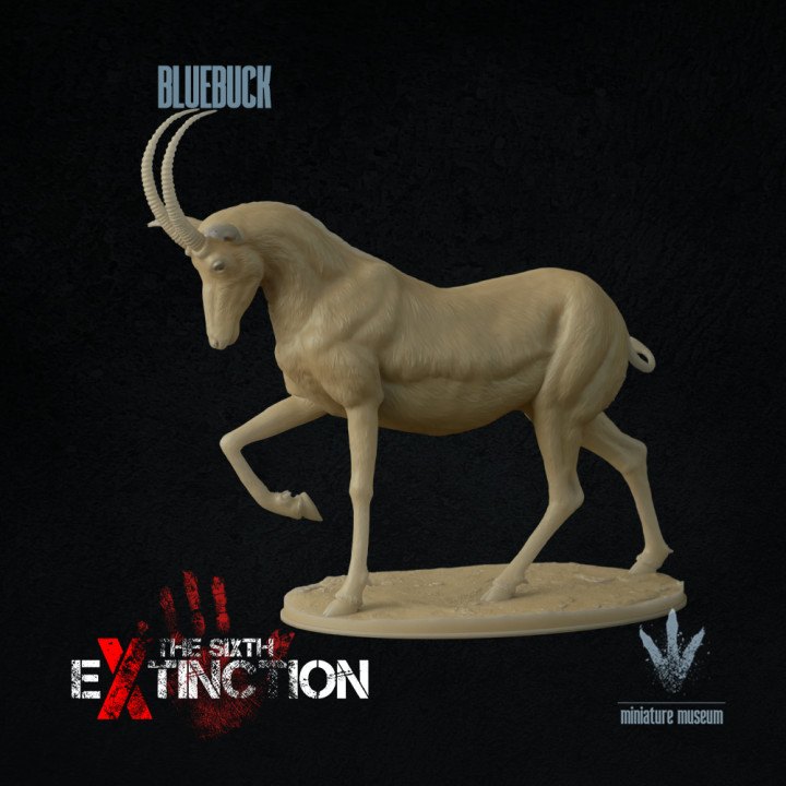 3D Printable Bluebuck : Hippotragus leucophaeus by Miniature Museum