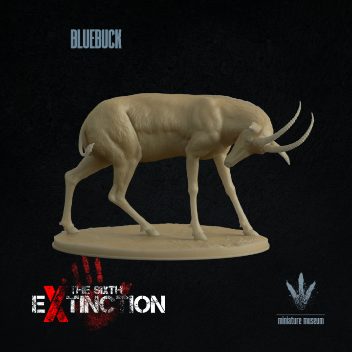 3D Printable Bluebuck : The Blue Antelope by Miniature Museum