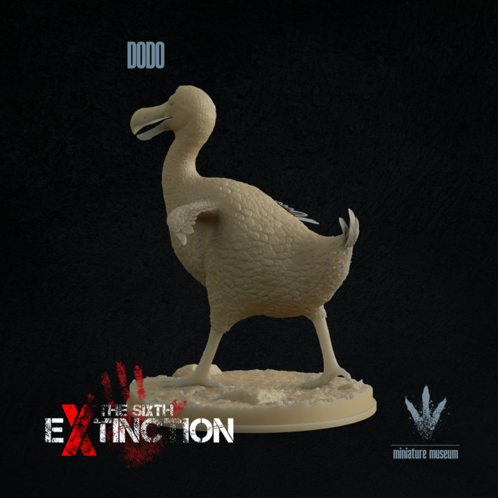 3D Printable Dodo : Raphus cucullatus by Miniature Museum