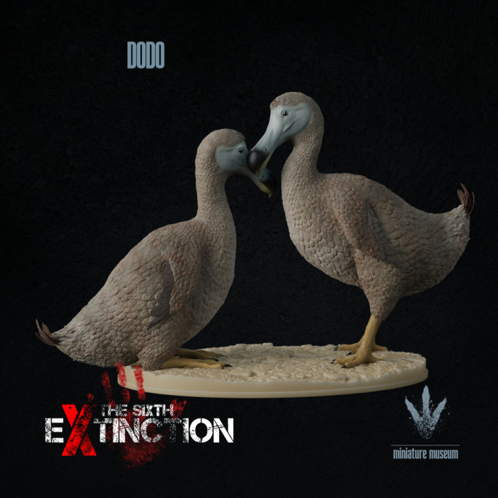 3D Printable Dodo : A Couple of Dodos by Miniature Museum