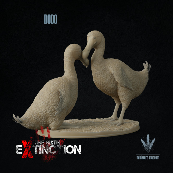 3D Printable Dodo : A Couple of Dodos by Miniature Museum