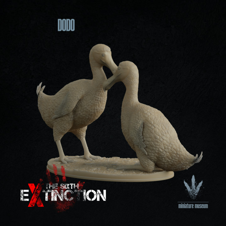3D Printable Dodo : A Couple of Dodos by Miniature Museum