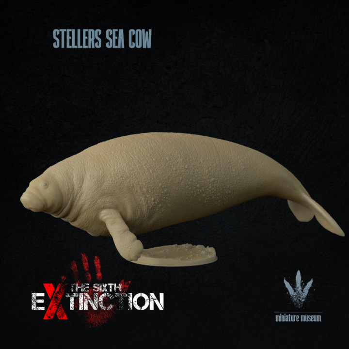 3D Printable Steller's sea cow : Hydrodamalis gigas by Miniature Museum