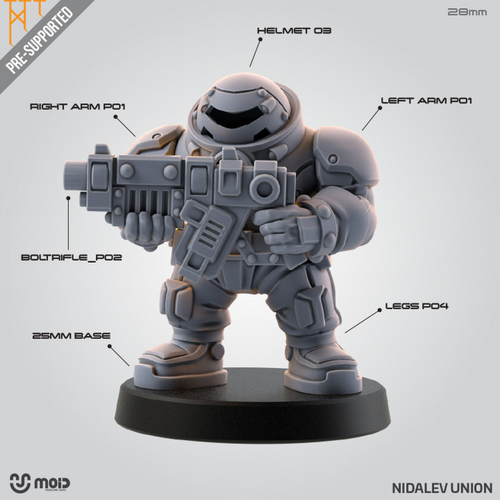 3D Printable Nidalev Union Dwarfs by Moid