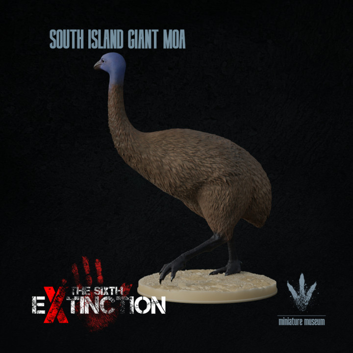 3D Printable South Island giant moa : Running by Miniature Museum
