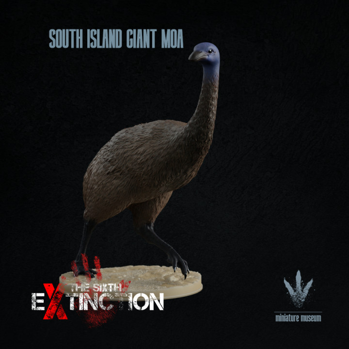 3D Printable South Island giant moa : Running by Miniature Museum