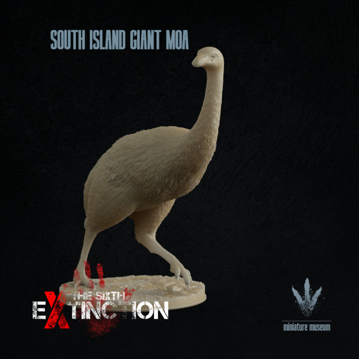 3D Printable South Island giant moa : Running by Miniature Museum
