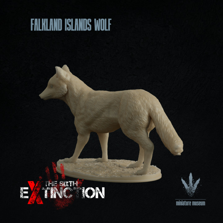 3D Printable Falkland Islands wolf : Dusicyon australis by Miniature Museum