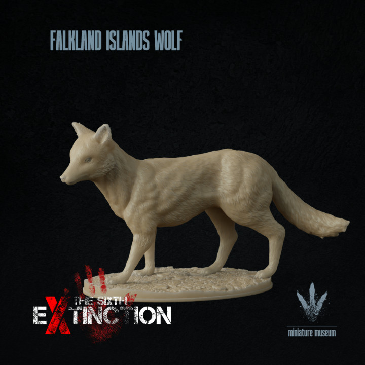 3D Printable Falkland Islands wolf : Dusicyon australis by Miniature Museum