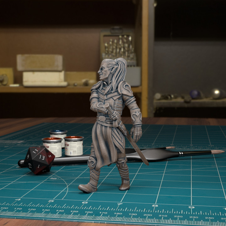 3D Printable Rahadin Dusk Elf Fighter [Pre-Supported] by TytanTroll ...