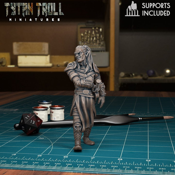 3D Printable Rahadin Dusk Elf Fighter [Pre-Supported] by TytanTroll ...