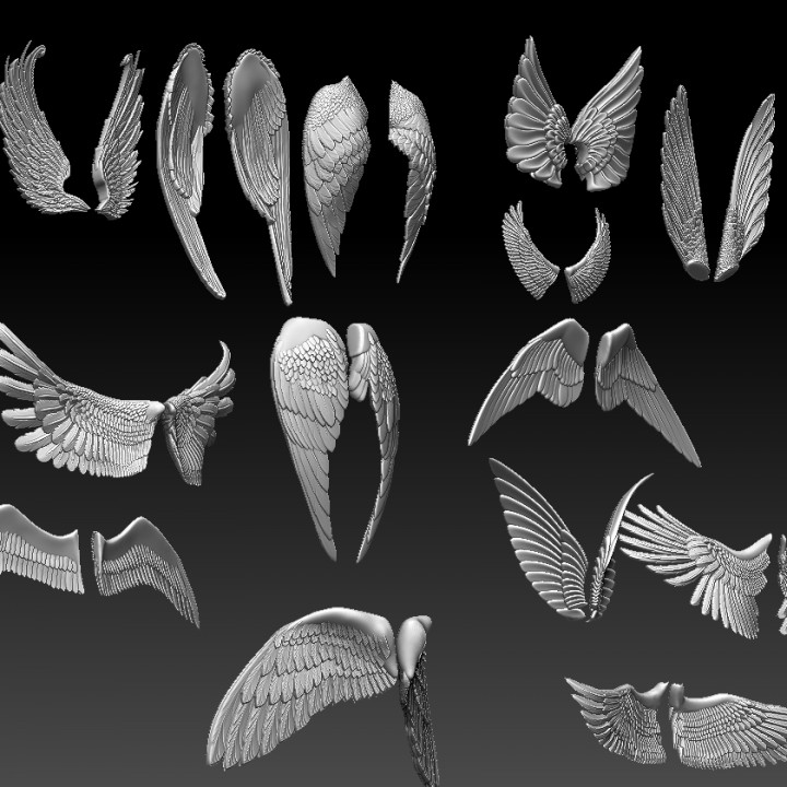 3D Printable wings by Dmitry Tishchenkov
