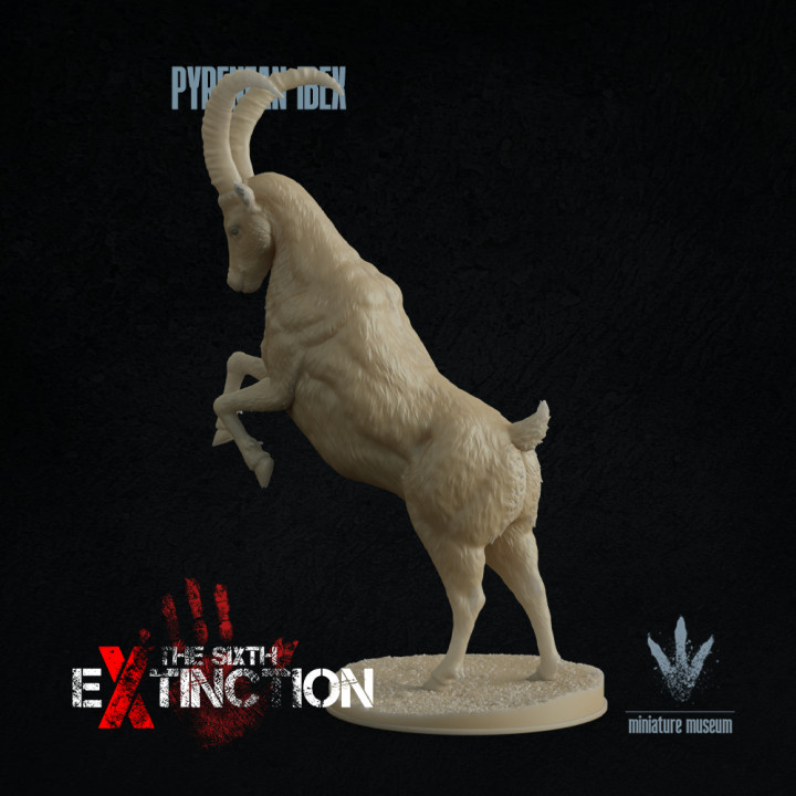 3D Printable Pyrenean ibex : Standing tall by Miniature Museum