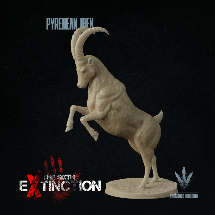 3D Printable Pyrenean ibex : Standing tall by Miniature Museum