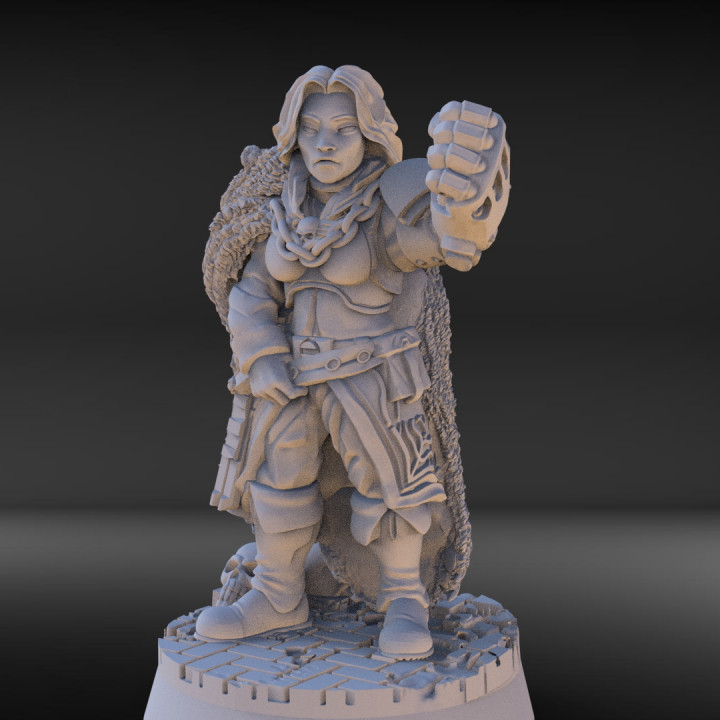 3D Printable Commander Lion by Rene Kruszinski