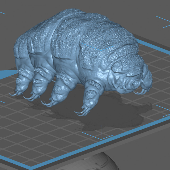 3D Printable Tardigrade (Accurate) by Chris Fonseca