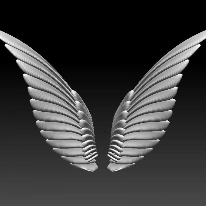 3D Printable WINGS by Dmitrii Tishchenkov
