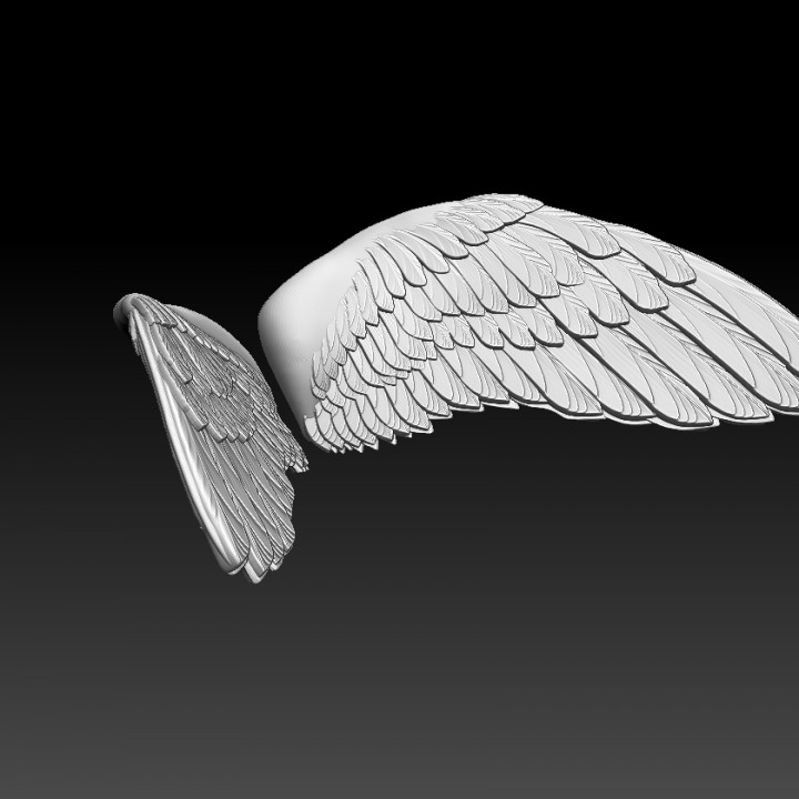 3D Printable WINGS by 3Dimontis