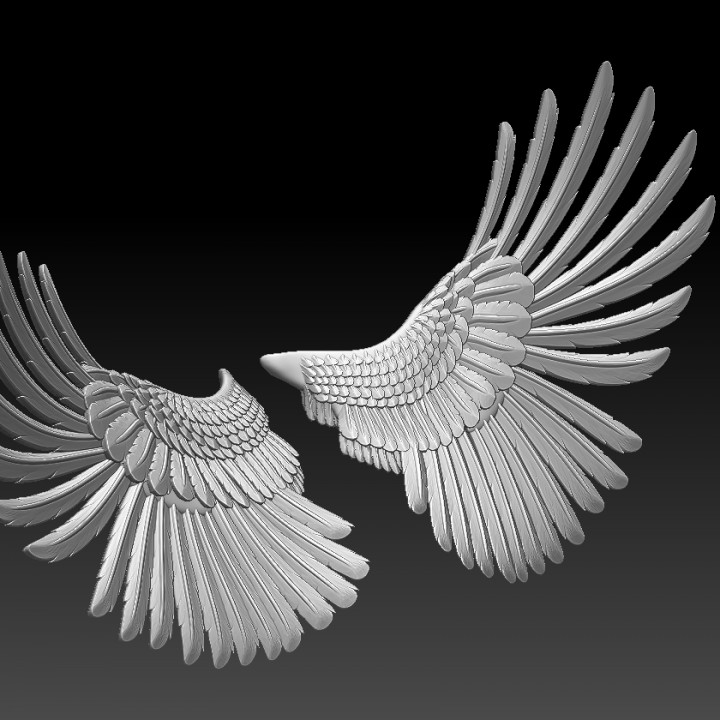 3D Printable WINGS by Dmitry Tishchenkov