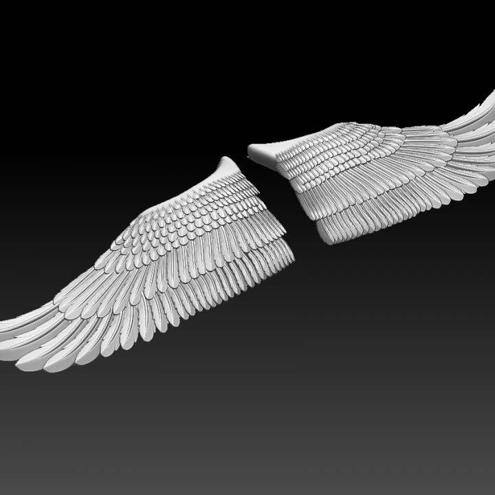 3D Printable WINGS by Dmitry Tishchenkov