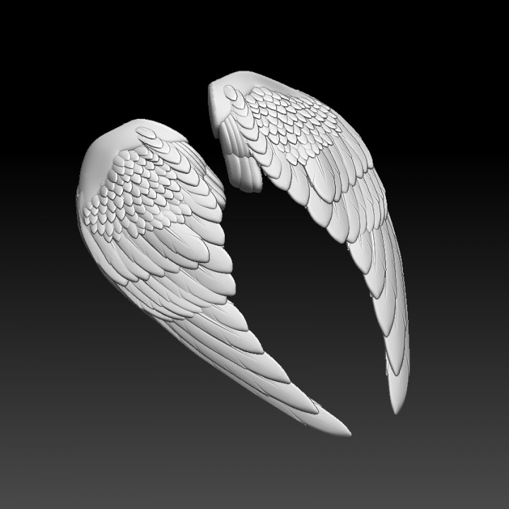 3D Printable WINGS by Dmitry Tishchenkov