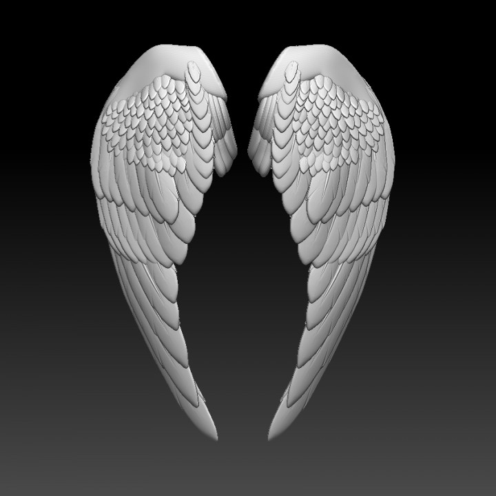 3D Printable WINGS by Dmitry Tishchenkov